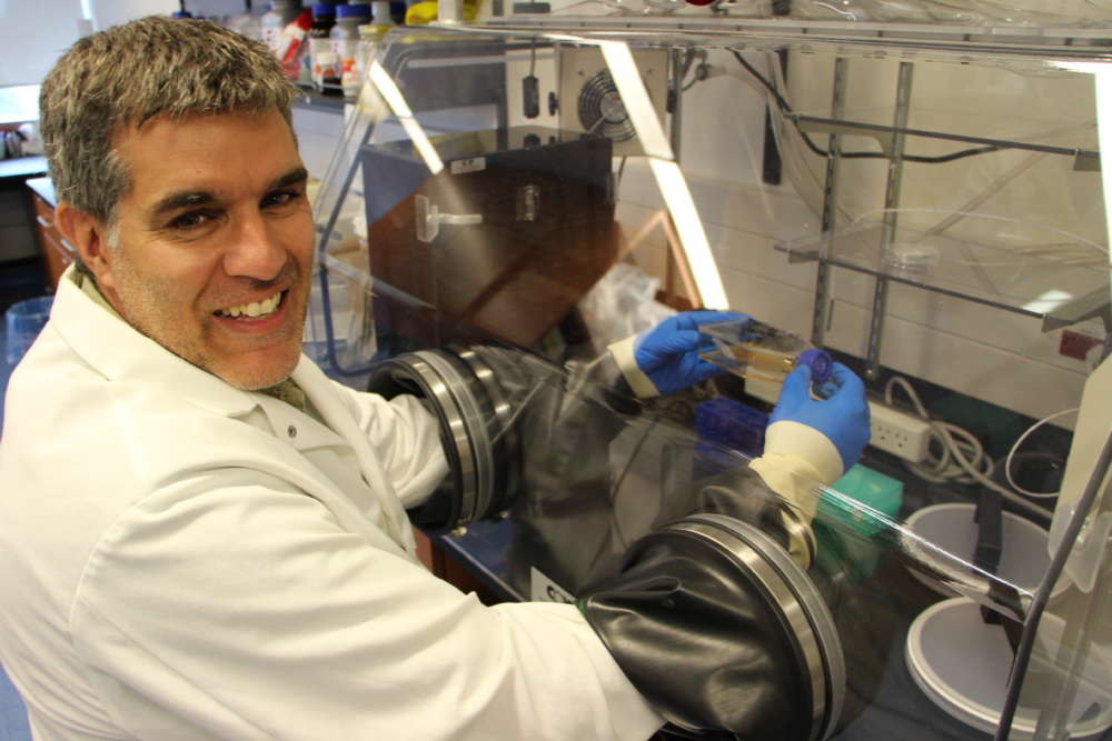 Byram Bridle is upset at Timothy Caulfield because he "won't debate ...